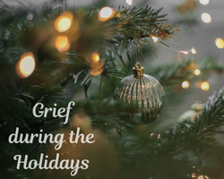 Grief During the Holidays - RLS Photogenic